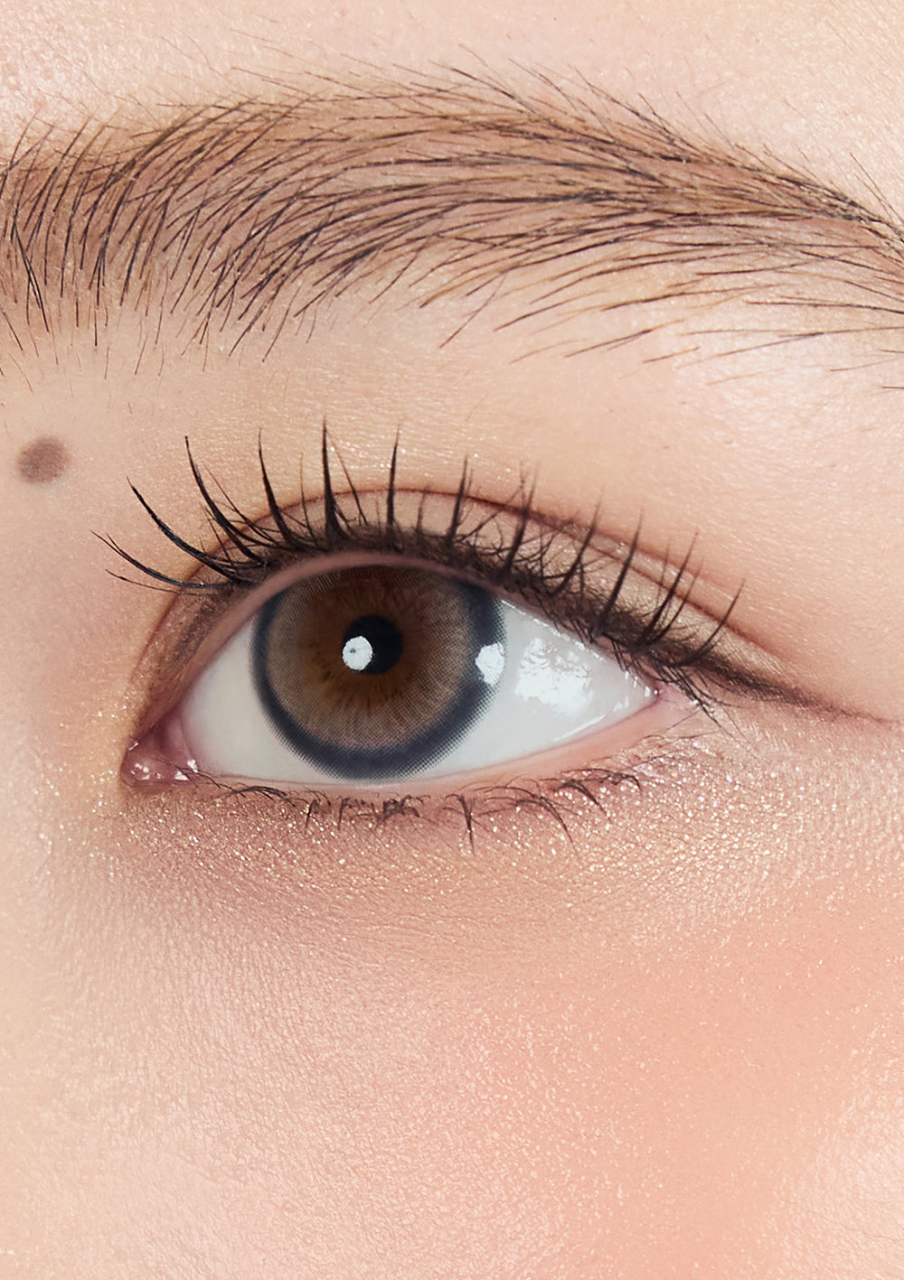 Foveo 1DAY 破曉深藍